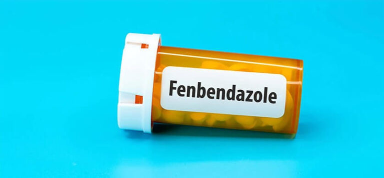 Panacur C- dog dewormer for cancer | Dewormer for humans