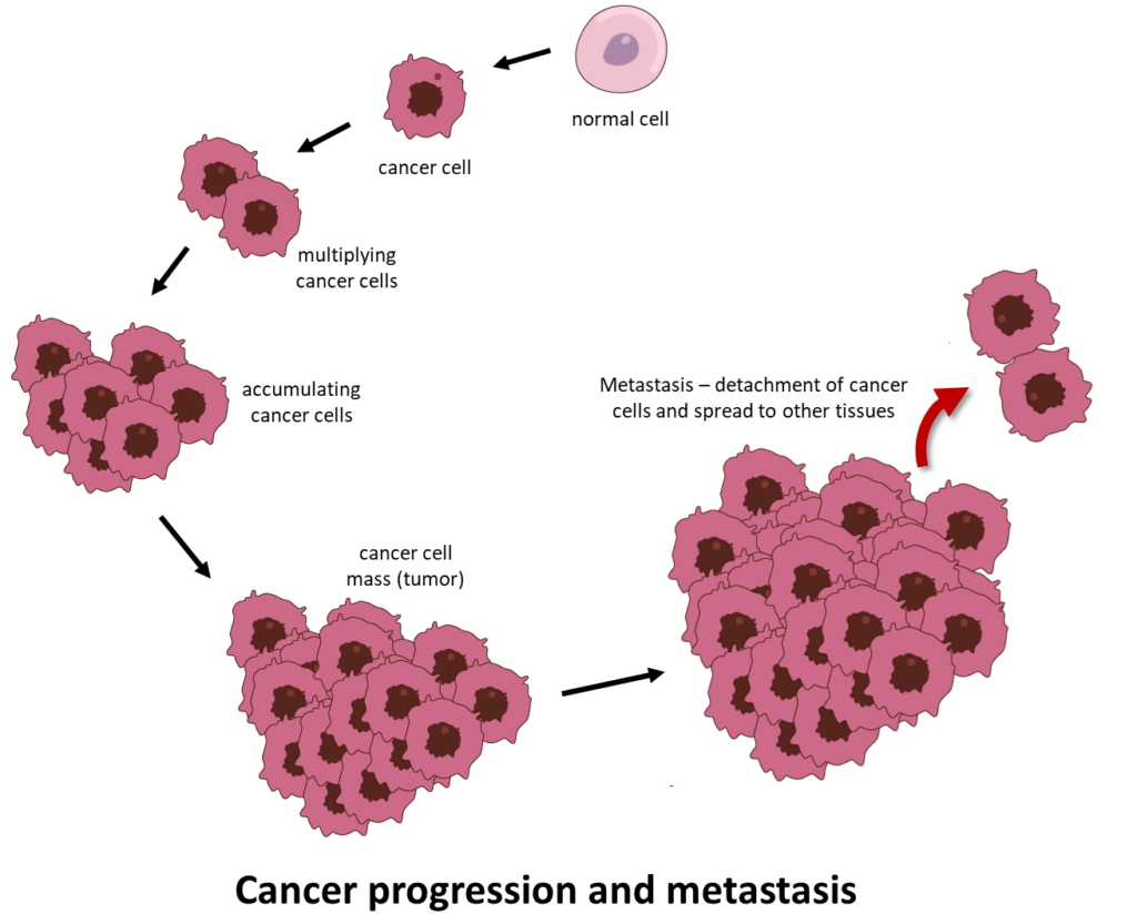 Cancer: An age-old problem now with a 21st century answer